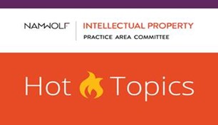 PAC: Intellectual Property (IP) Practice Committee | NAMWOLF